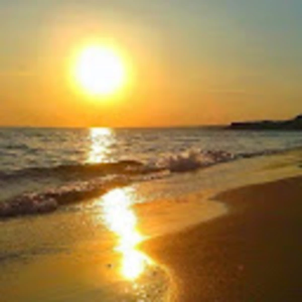 fran ub | profe.social